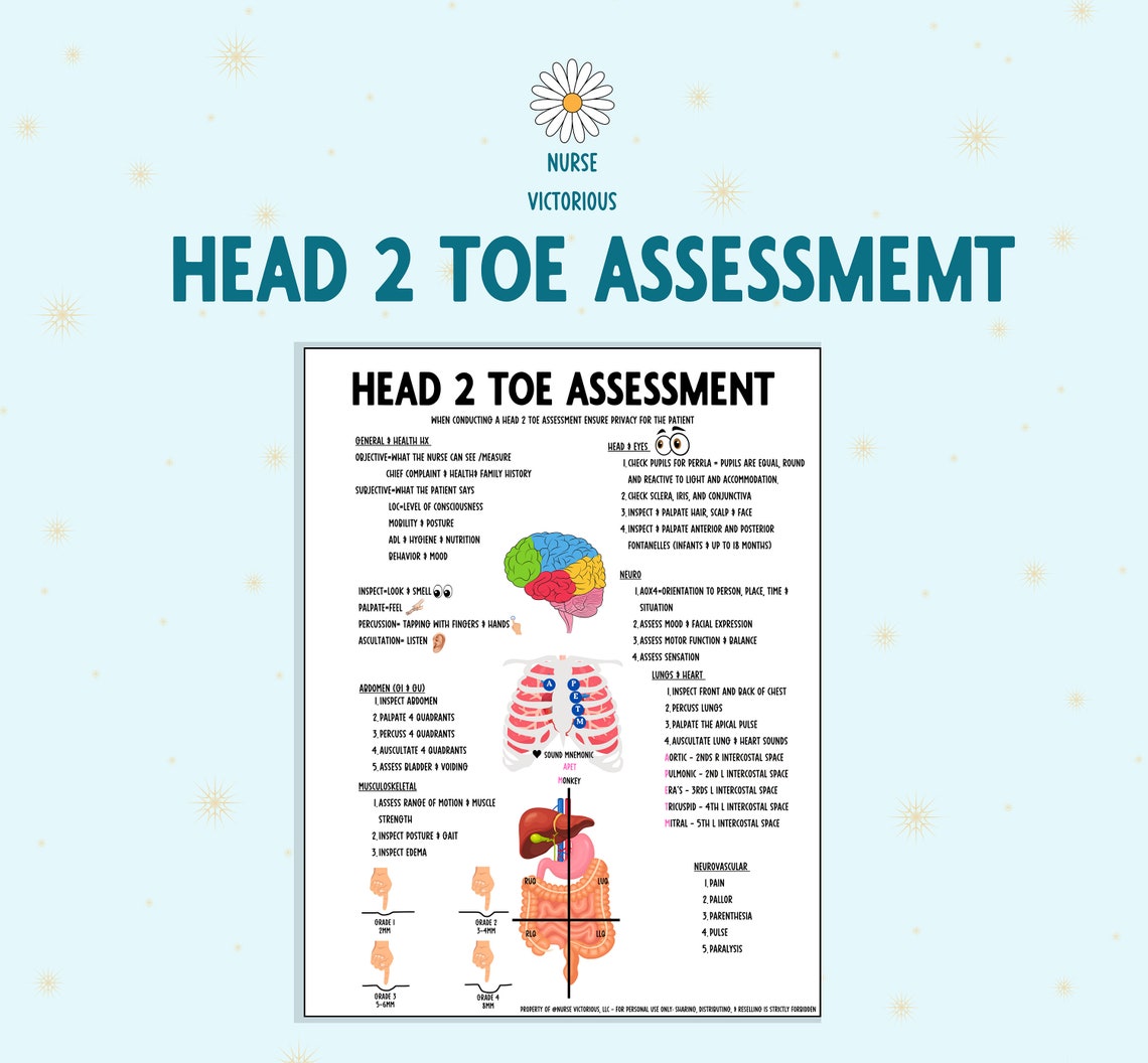 Head-to-toe Assessment Guide: Nursing Cheat Sheet (digital Download) - Etsy