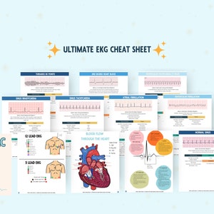 EKG Cheat Sheet EKG Study Guide EKG Practice - Etsy