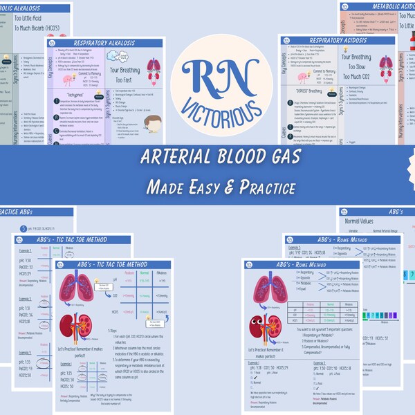 Blood Gas Nursing Notes - Etsy