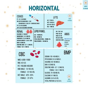 Lab Values Badge Buddy Reference Card - Etsy
