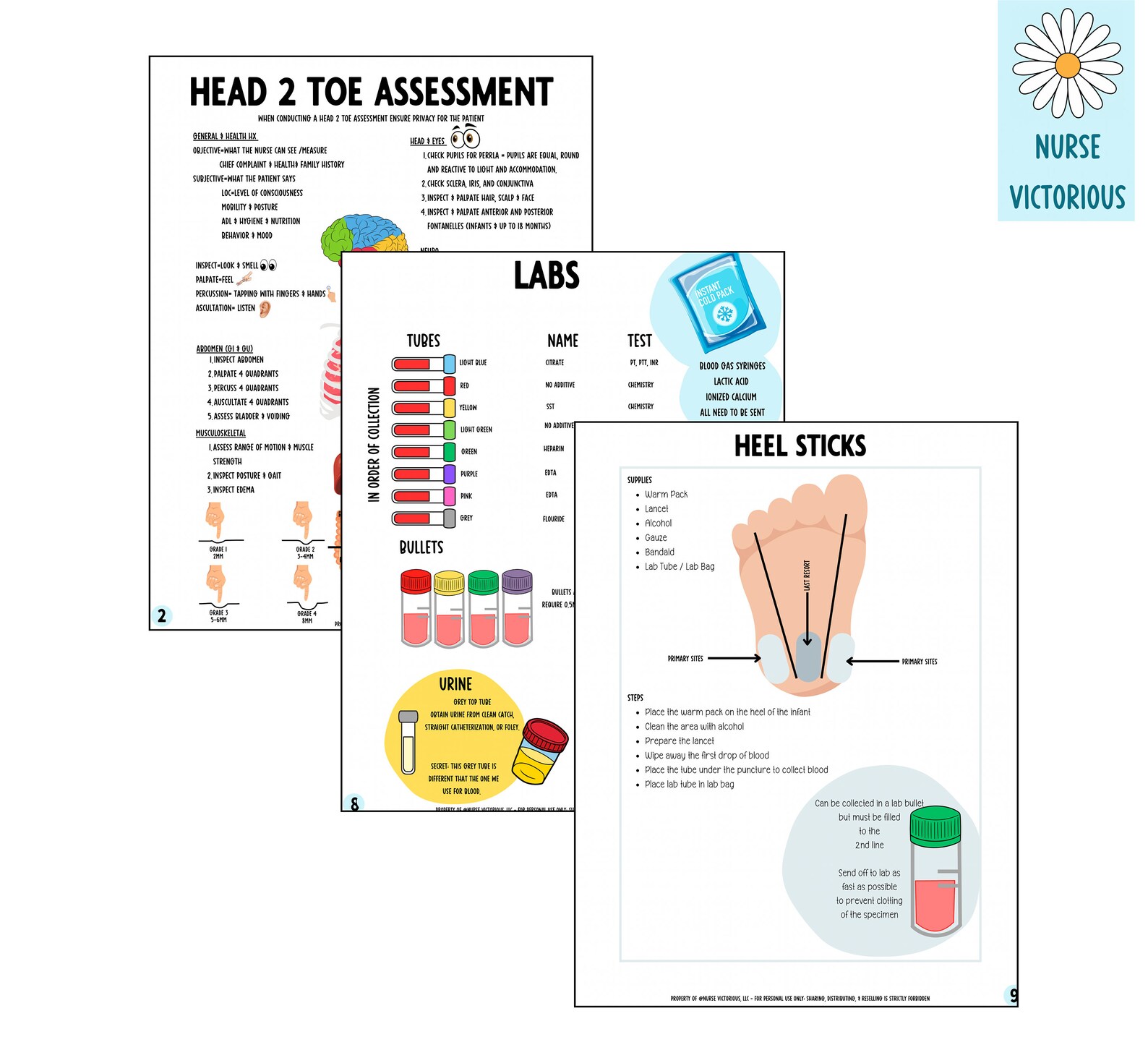 Welcome to Pediatric Nursing Visual Reference Packet |digital Download ...