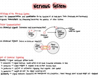 Nervous System Notes | Etsy