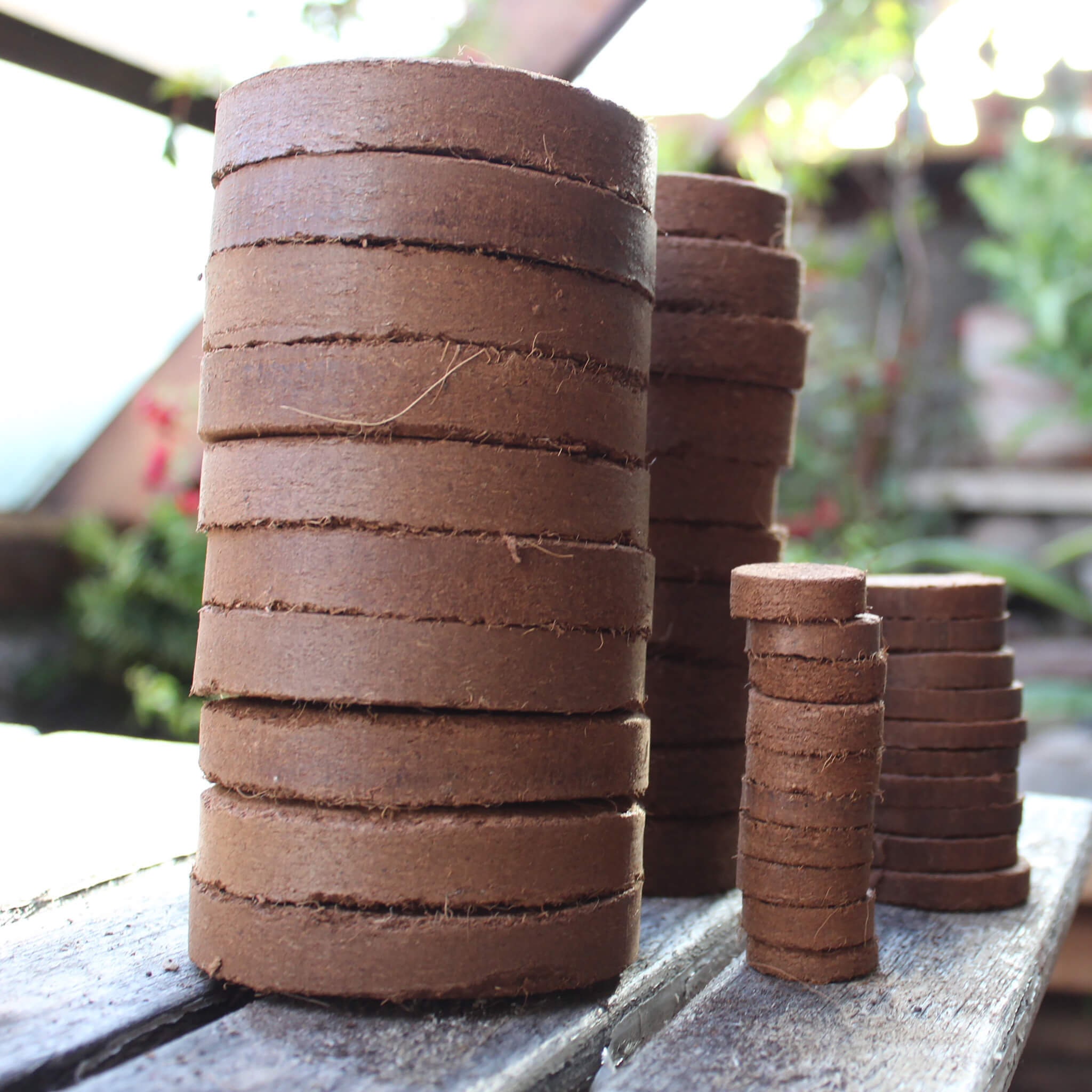 Plantonix Coco Bliss Coco Coir/ Pith Soil Medium Discs - Etsy