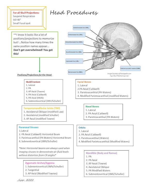 Skull Positioning and Procedures - Etsy