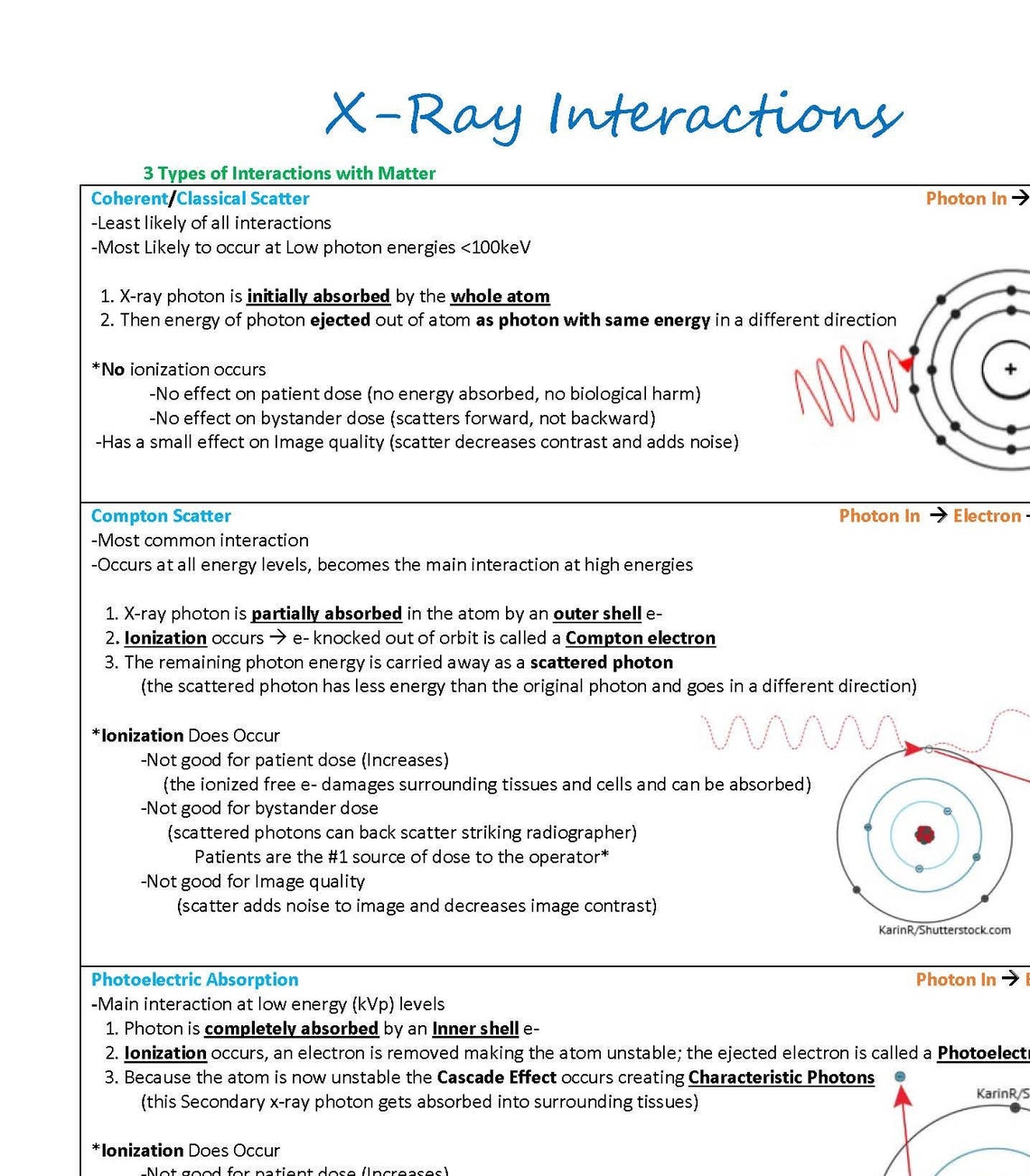 The X-ray Interactions Section - Etsy