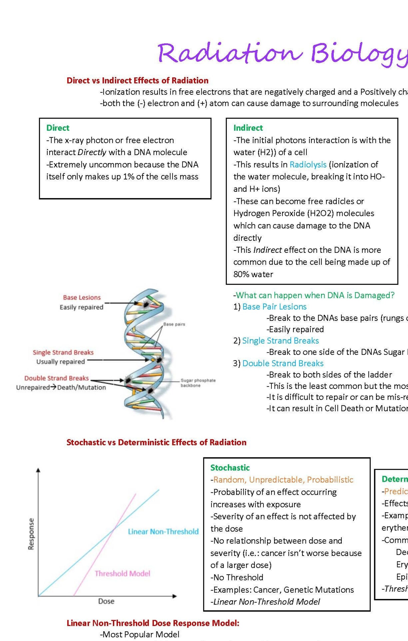 The Size and Shape Distortion Section | Etsy