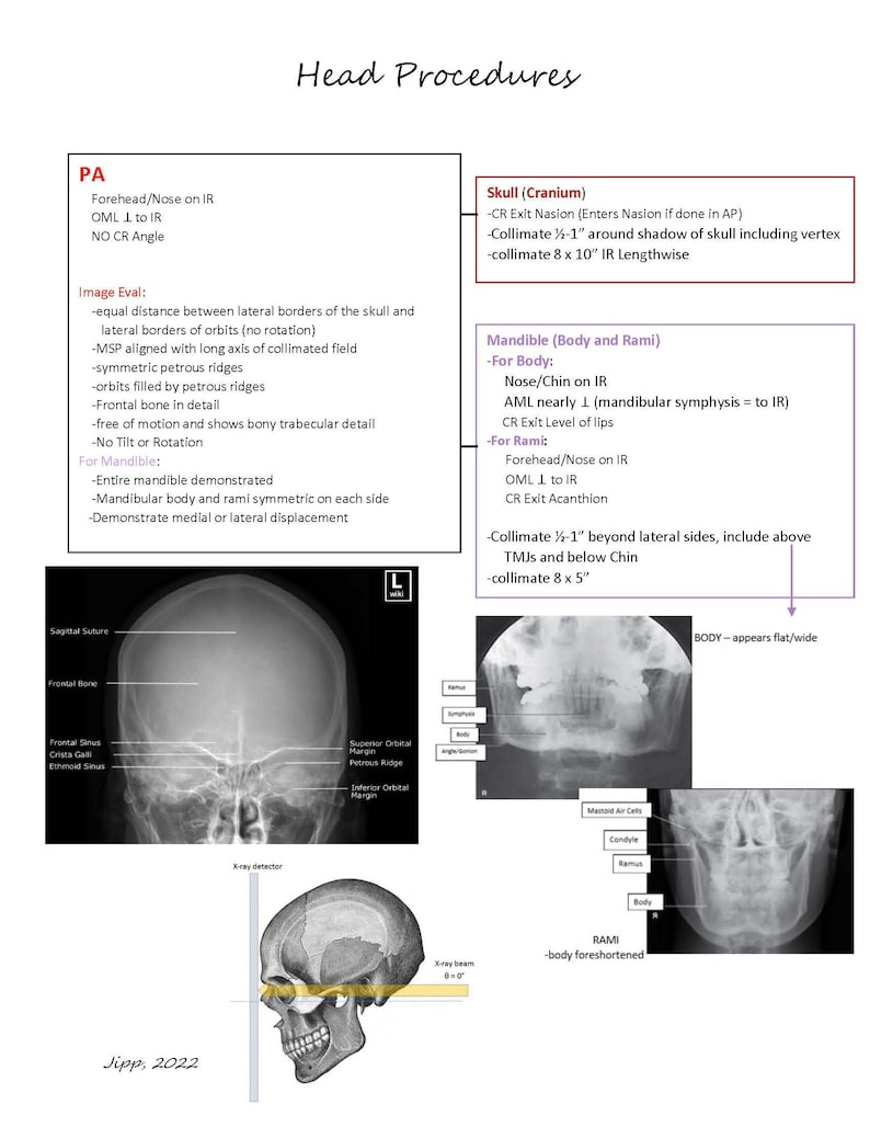 Skull Positioning and Procedures - Etsy