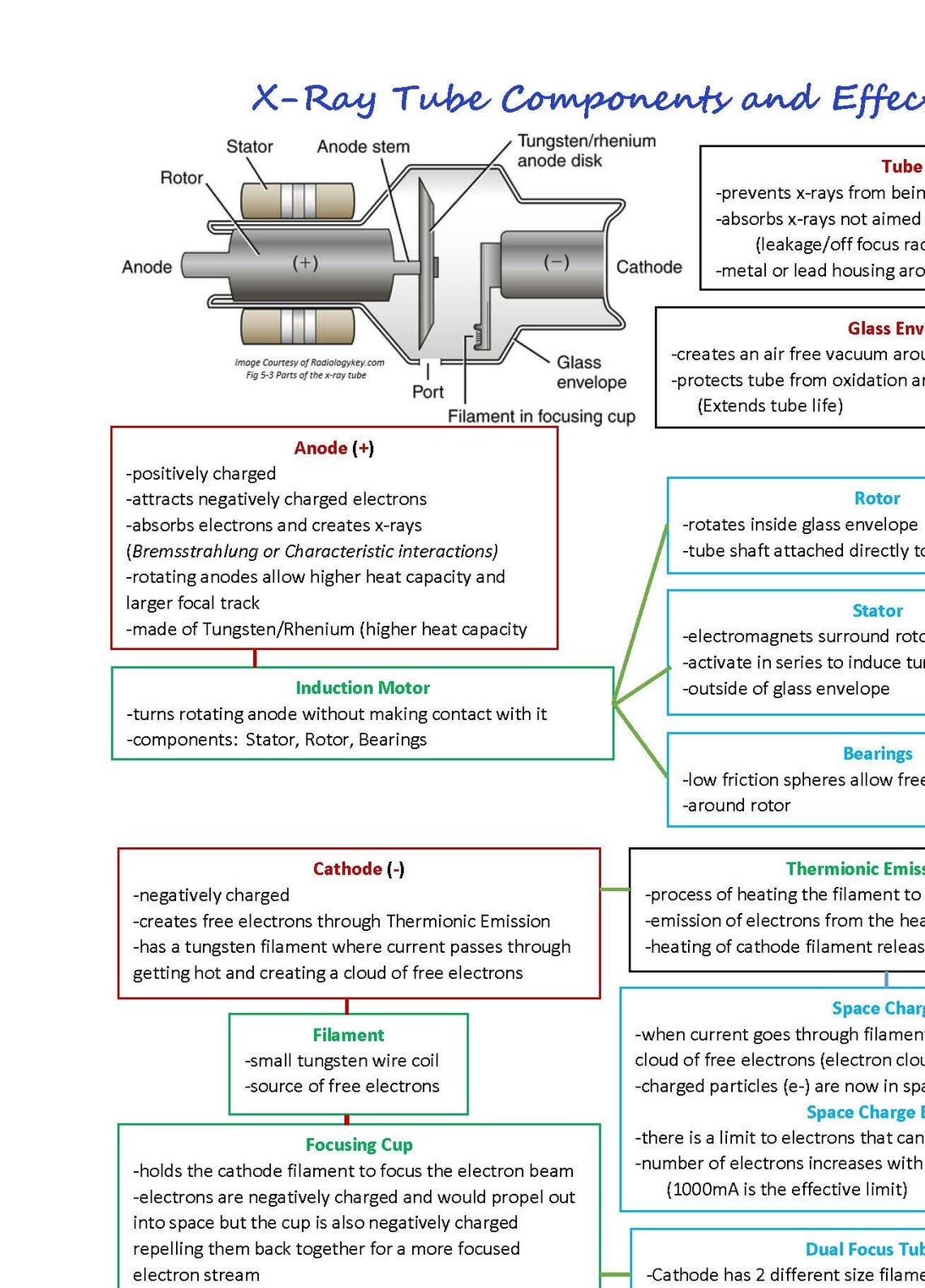 The Size and Shape Distortion Section | Etsy