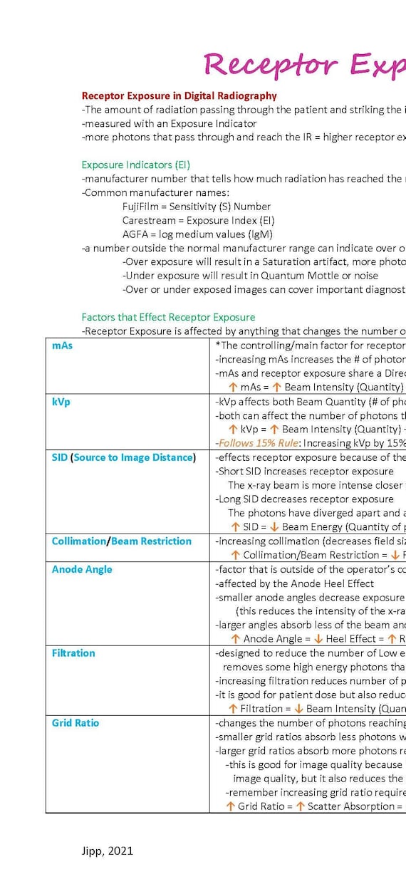 The Receptor Exposure Section - Etsy