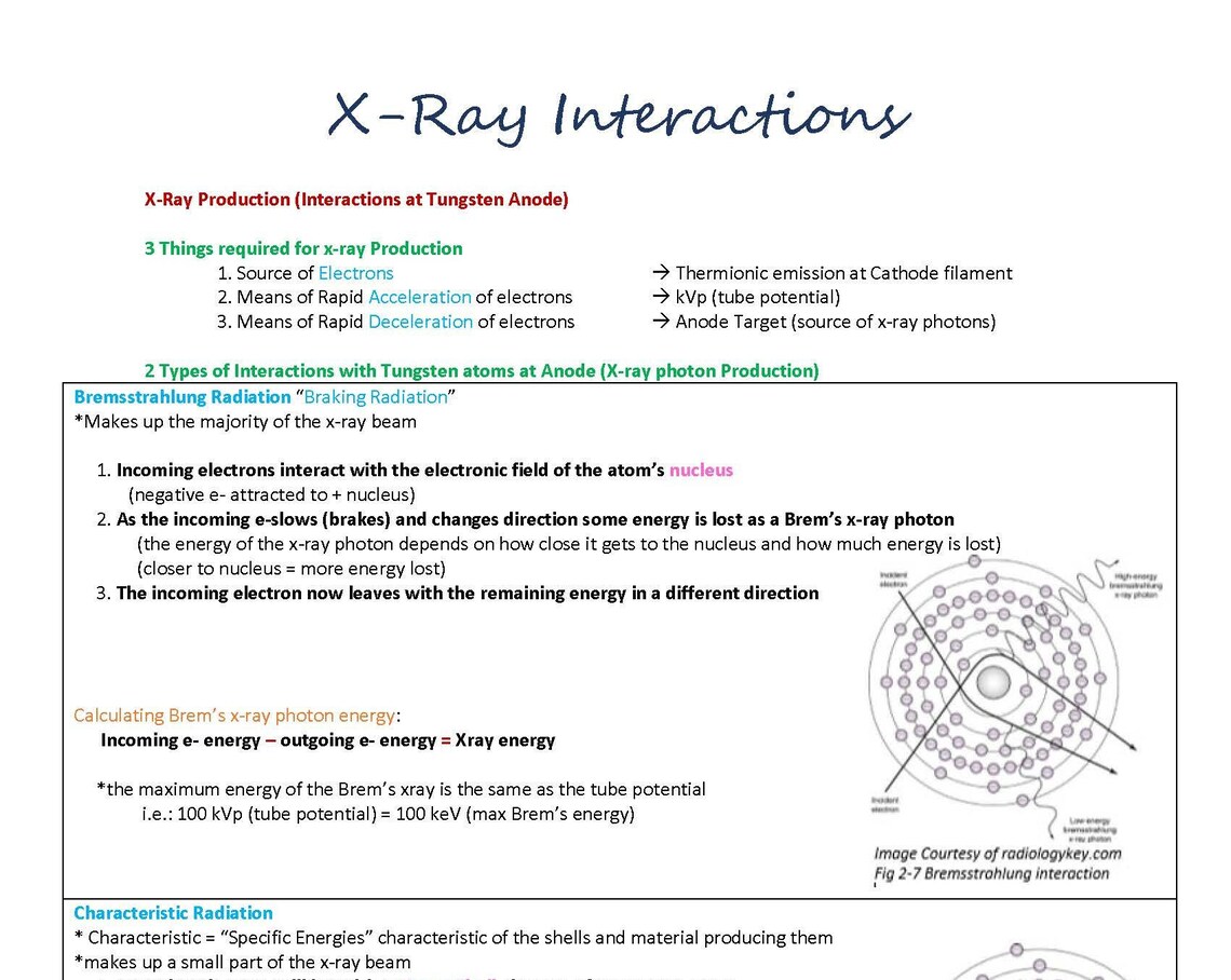 The Size and Shape Distortion Section | Etsy
