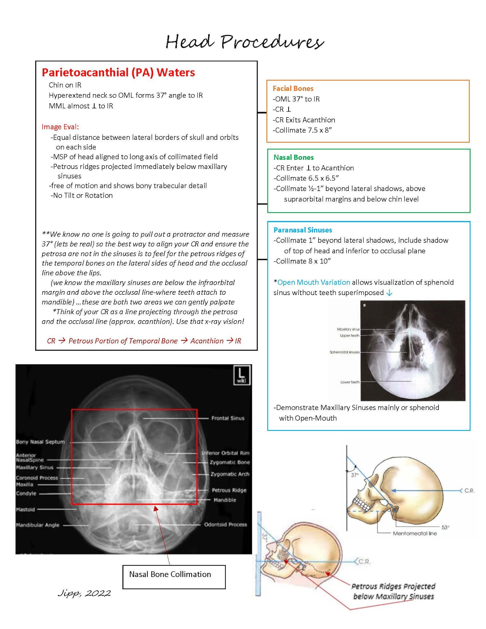 Skull Positioning and Procedures - Etsy