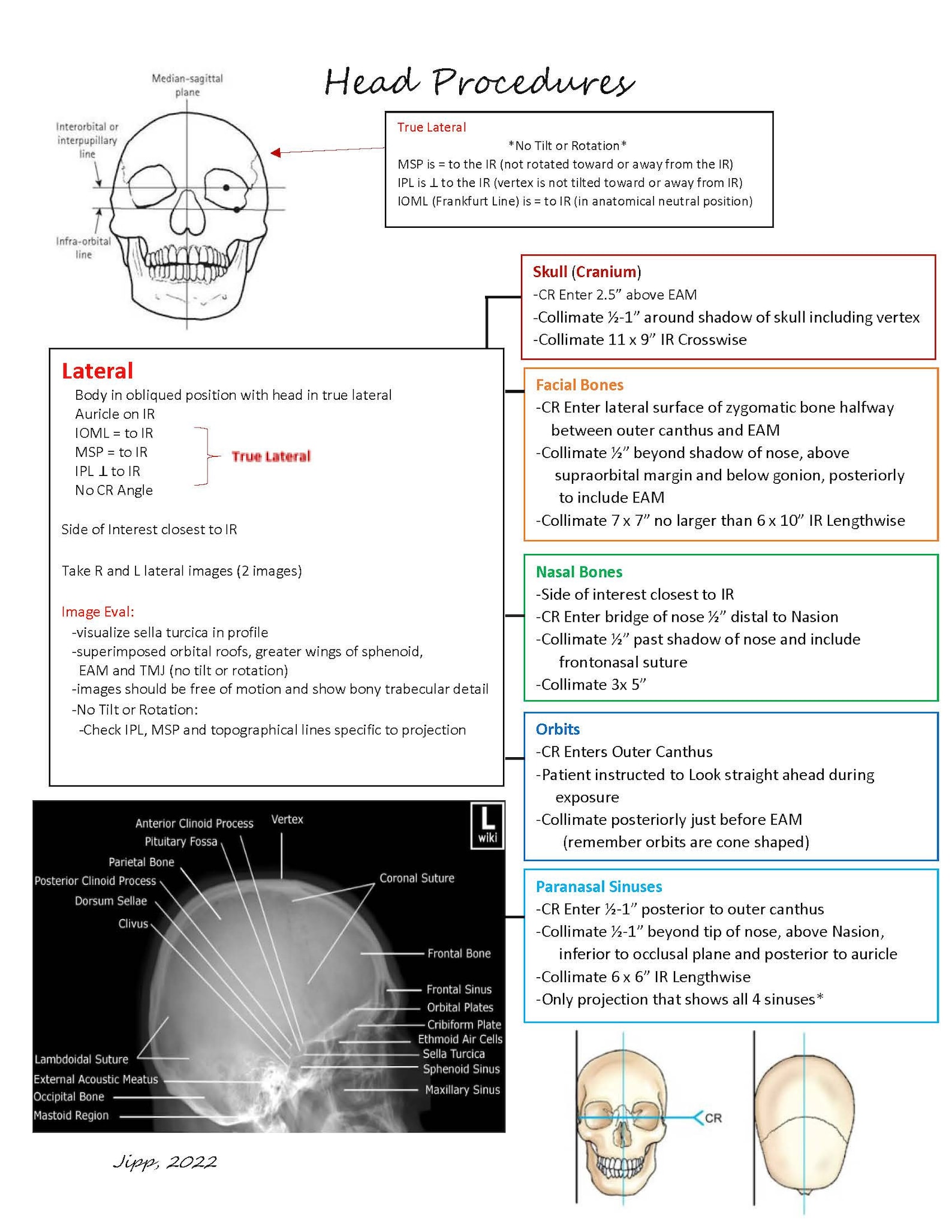 Skull Positioning and Procedures - Etsy