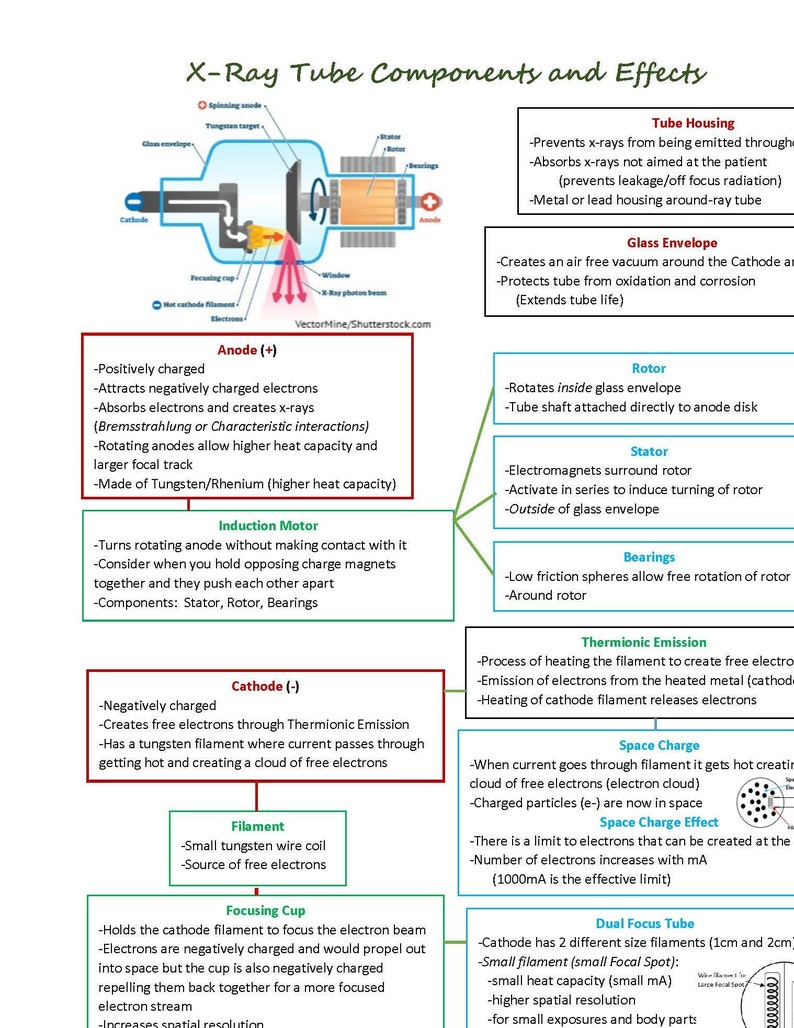 The X-ray Tube Components and Effects Section - Instant Download - Etsy