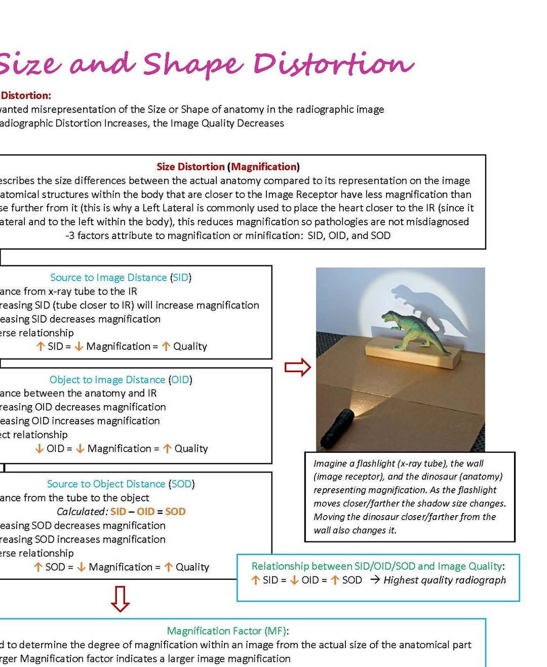 The Size and Shape Distortion Section - Etsy Canada