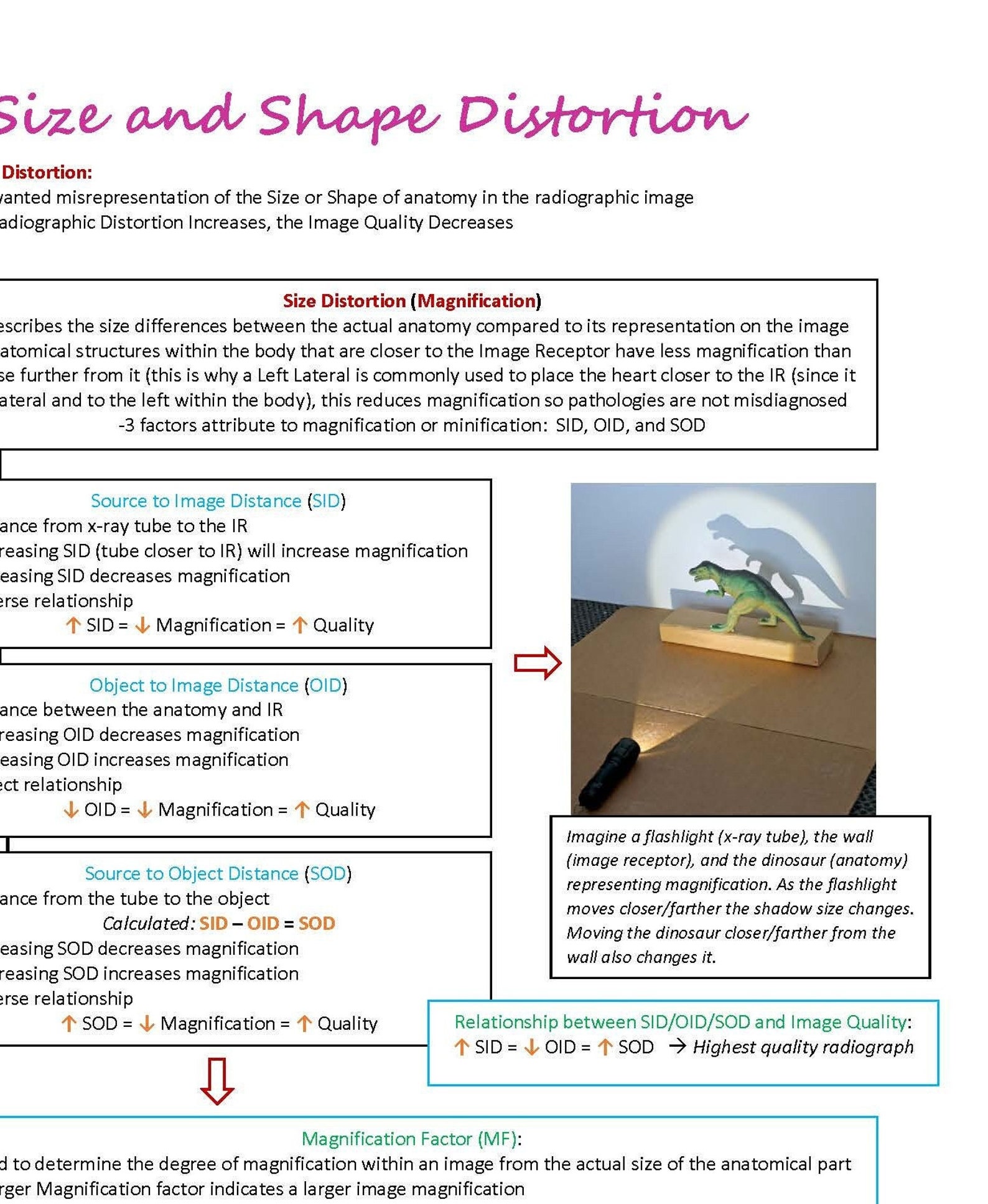 The Size and Shape Distortion Section - Etsy Canada