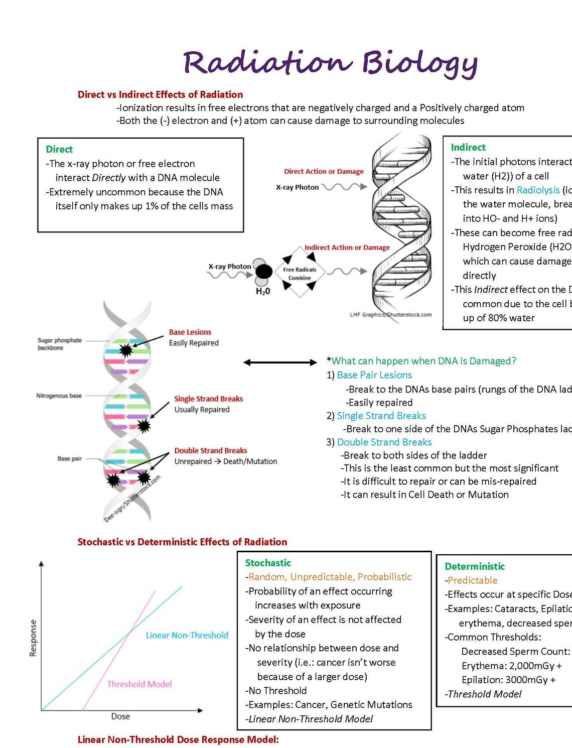 The Size and Shape Distortion Section - Etsy Canada