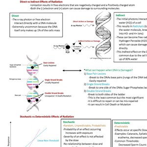 The Size and Shape Distortion Section - Etsy Canada