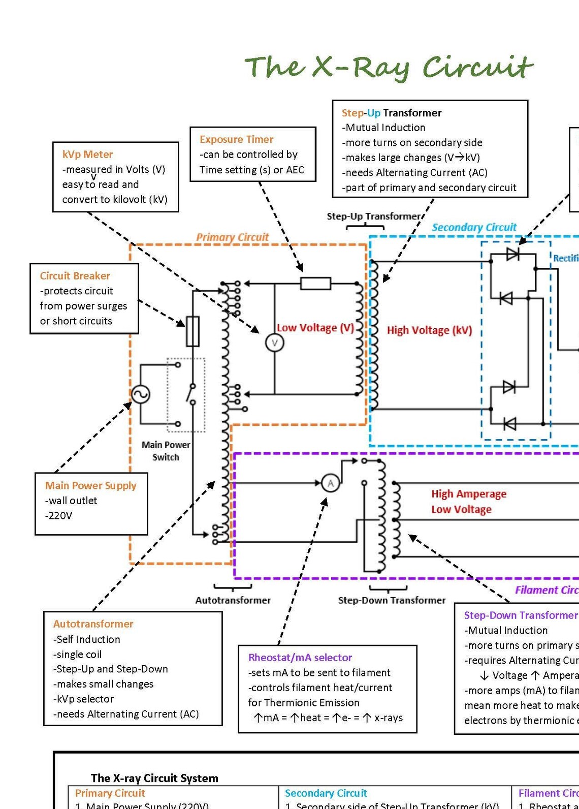 The Size and Shape Distortion Section - Etsy Canada