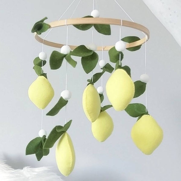 Fruit Mobile - Etsy