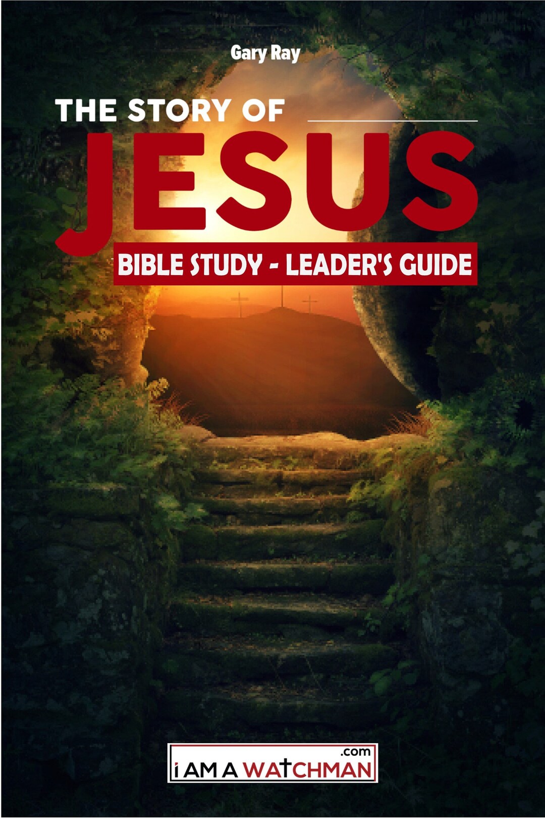 The Story of Jesus LEADER GUIDE Paperback Book - Etsy