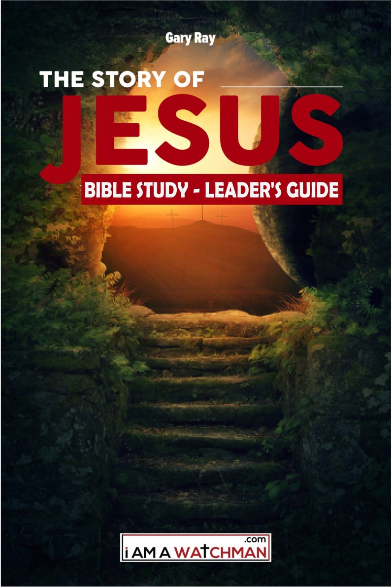 The Story of Jesus LEADER GUIDE Paperback Book - Etsy