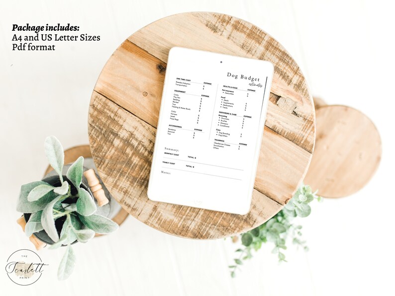 Cat Expense Cost Estimate Budget Tracker, Monthly and Annual Costs ...