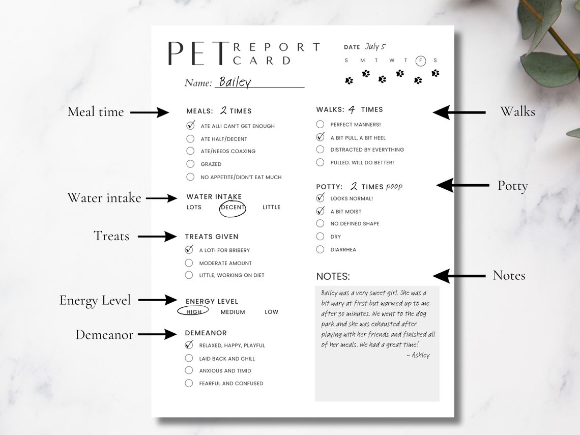 Dog Boarding Pet Report Card Template Fully Editable Canva Template ...