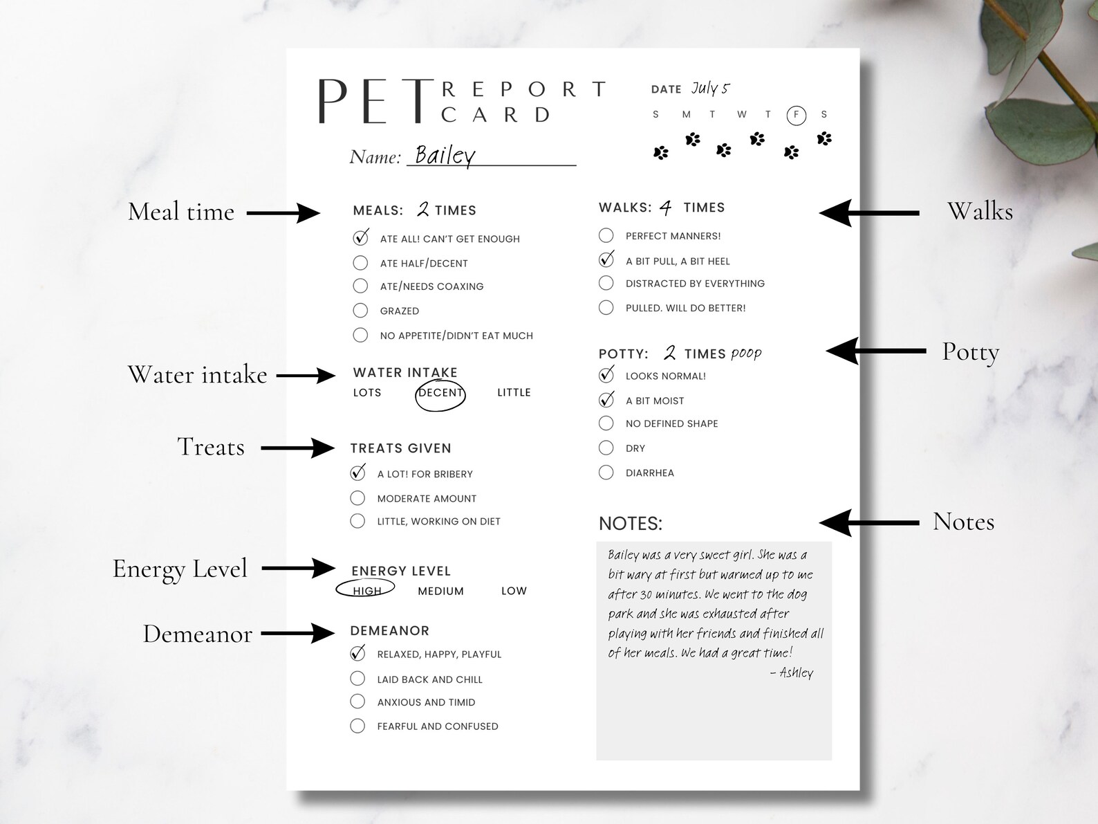 Dog Boarding Pet Report Card Template Fully Editable Canva Template ...