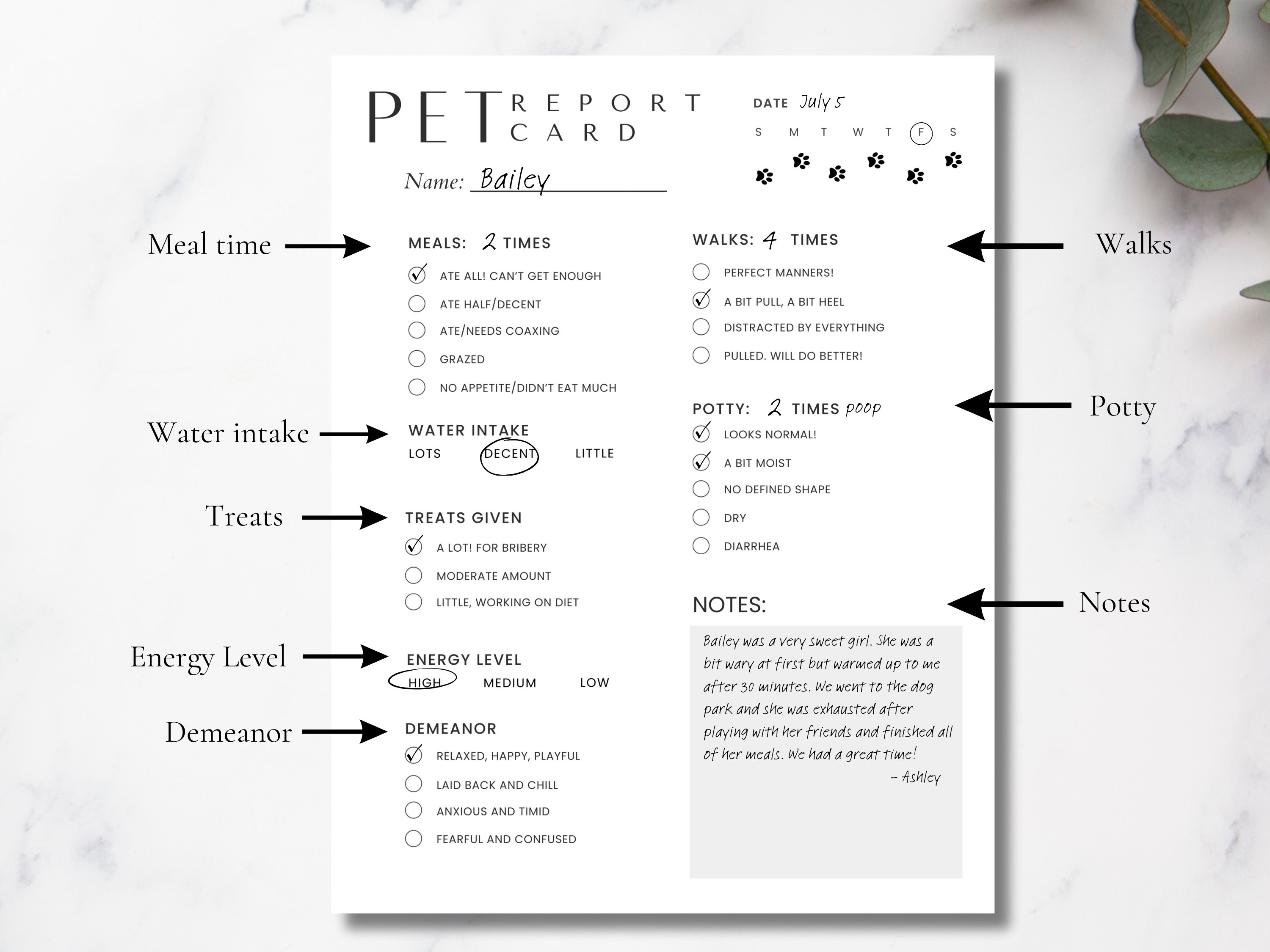 Dog Boarding Pet Report Card Template Fully Editable Canva Template ...