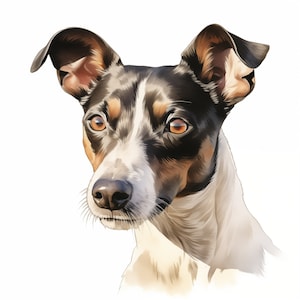 Rat Terrier Clipart, Rat Terrier Dog Images, 10 Watercolor Clip Art ...