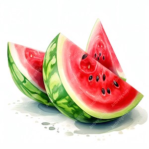 Watermelon Fruit Clipart, Summer Fruit Images, 10 Watercolor Clip Art ...