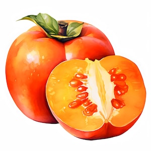 Persimmon Clipart, Fruit Images, 10 Watercolor Clip Art, Printable Jpgs ...