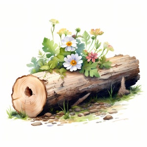 Watercolor Log Clipart: Wildflower Images (jpgs, Commercial Use) - Etsy