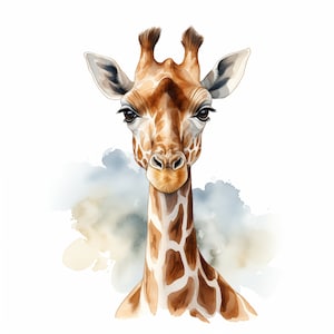 Watercolor Giraffe Clipart: Printable Animal Images (jpgs, Commercial ...