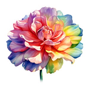 Rainbow Flower Clipart, Colored Flowers Images, 10 Watercolor Clip Art ...