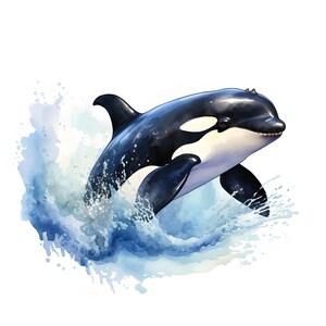 Killer Whale Clipart, Orca Images, 10 Watercolor Clip Art, Printable ...