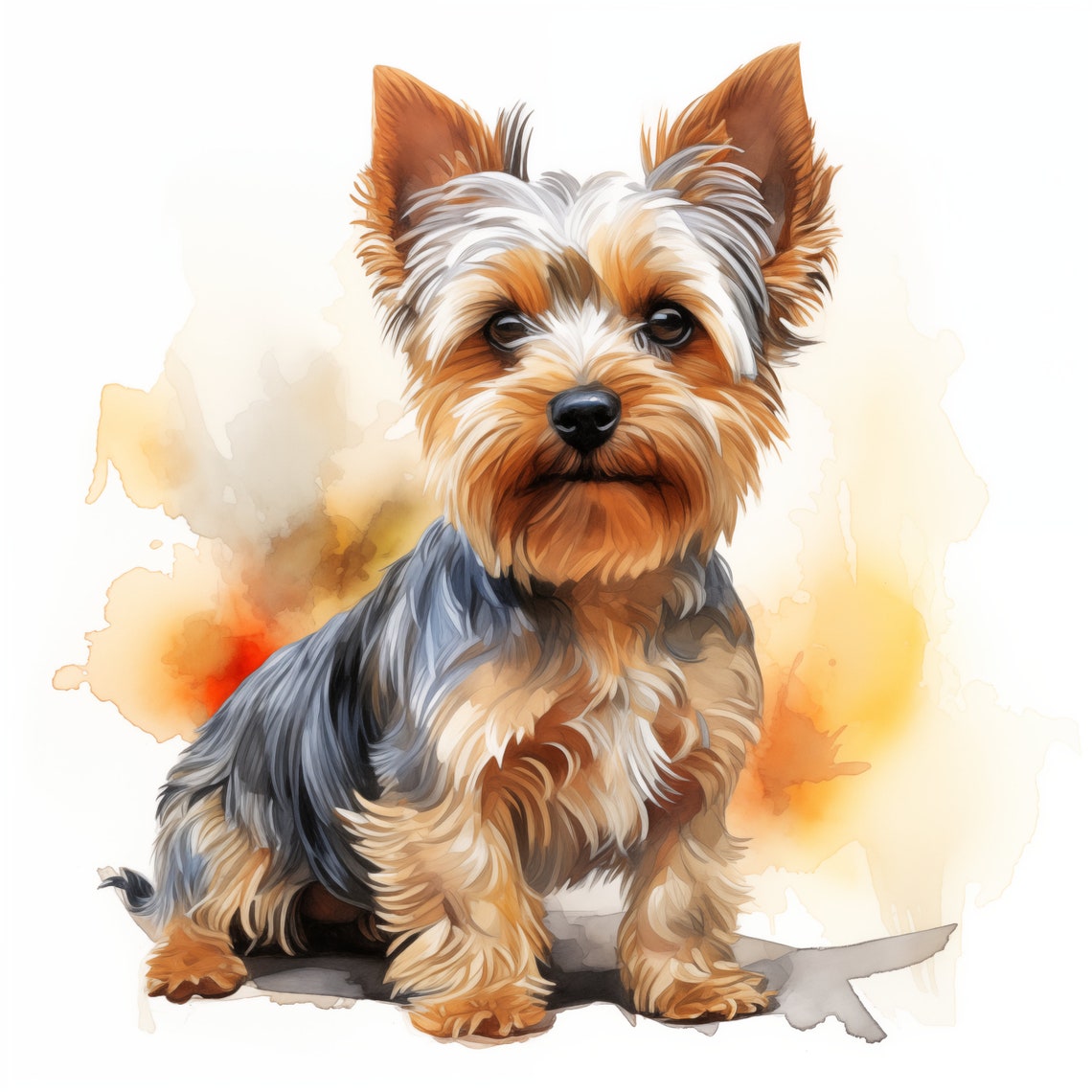 Yorkshire Terrier Watercolor Clipart: 10 Yorkie Dog Jpgs (commercial ...