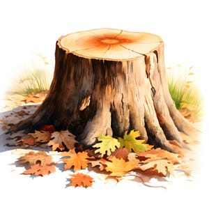 Autumn Stump Clipart, Autumn Wood Stump Images, 10 Watercolor Clip Art ...