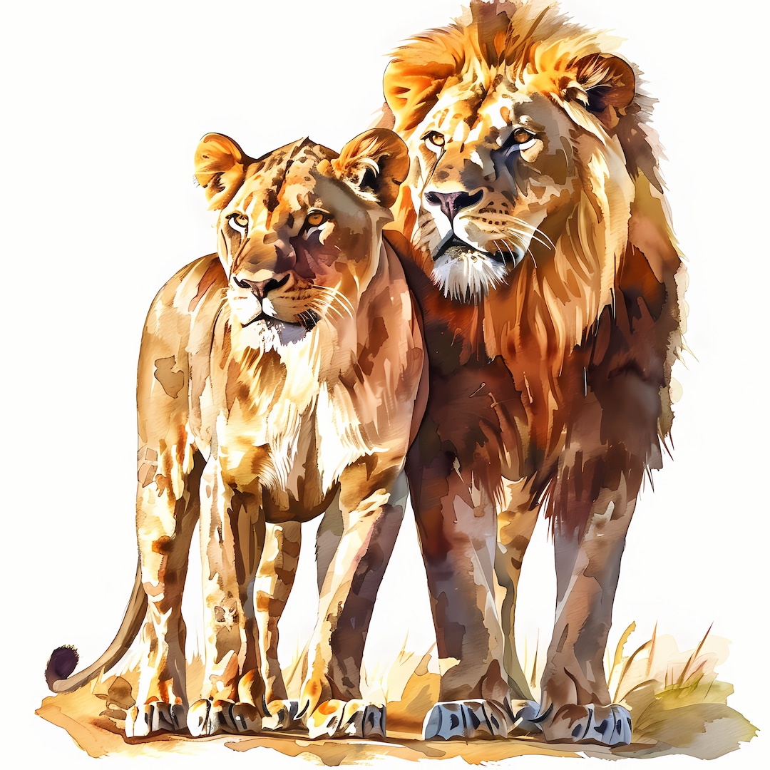 Lion Family Clipart, Lion and Lioness Images, 10 Watercolor Clip Art ...