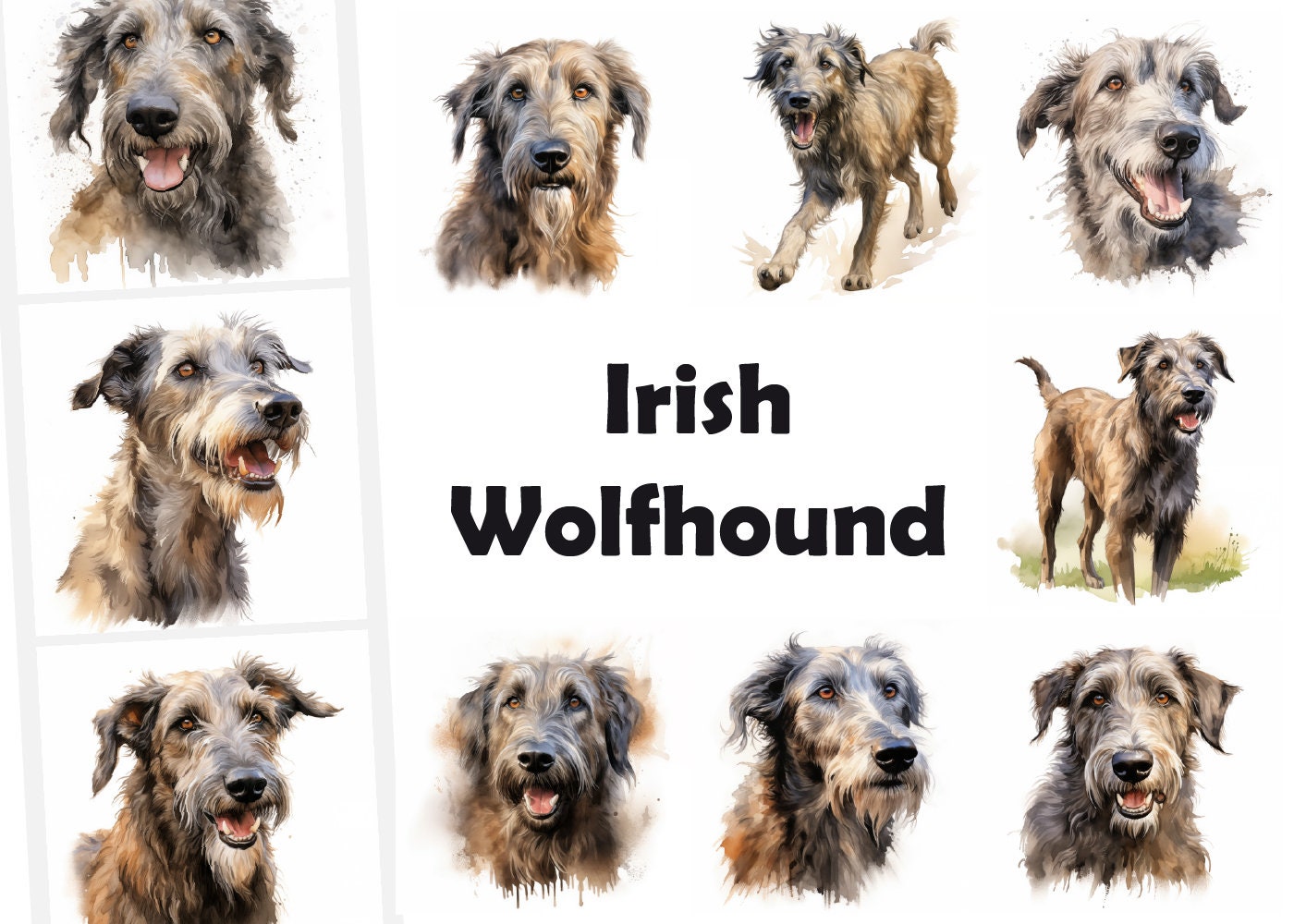 10 Irish Wolfhound, Irish Wolfhound Dog JPG, Watercolor Clipart, High ...
