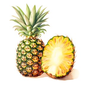 Pineapple Clipart, Pine Apple Half Images, 10 Watercolor Clip Art ...