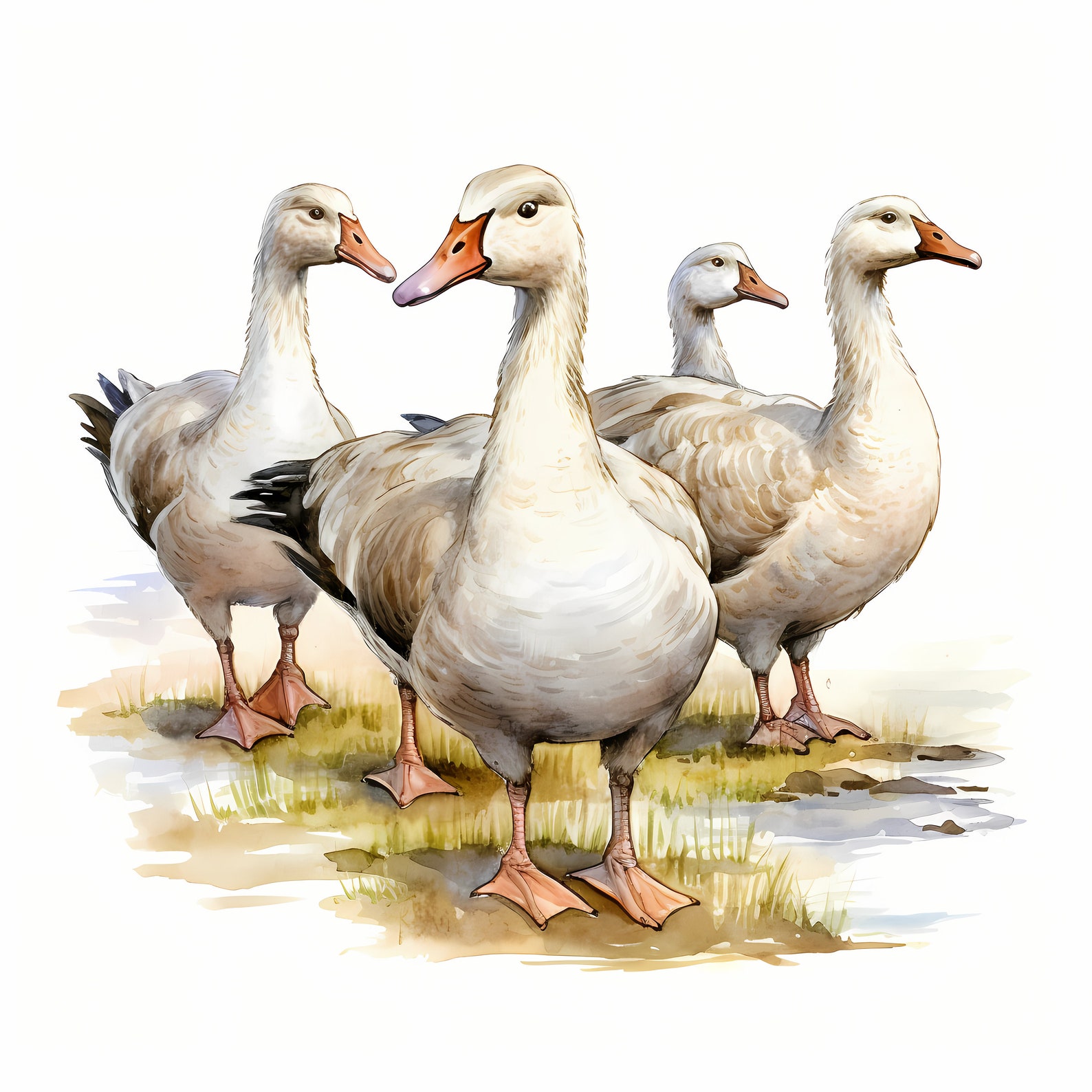 Geese Clipart, Farm Geese Images, 10 Watercolor Clip Art, Printable ...