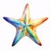 Starfish Clipart, Ocean Sea Life Images, 10 Watercolor Clip Art ...