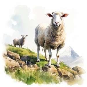 Sheep Clipart, Sheep on Farm Images, 10 Watercolor Clip Art, Printable ...