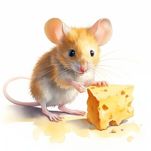 10 Mouse With Cheese, Mouse Eating Cheese JPG, Watercolor Clipart ...