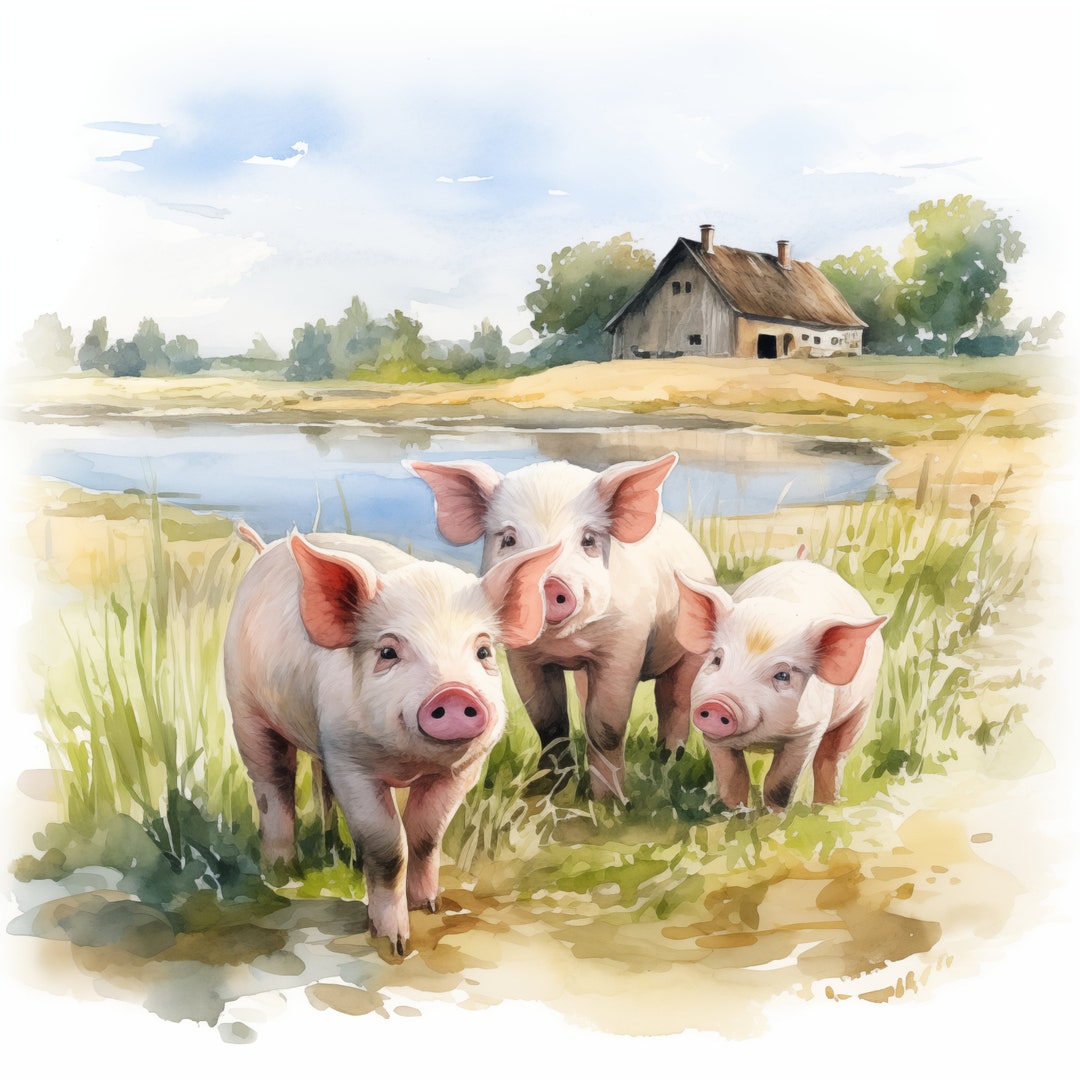 Farm Pigs Clipart, Farmyard Piglets Images, 12 Watercolor Clip Art ...
