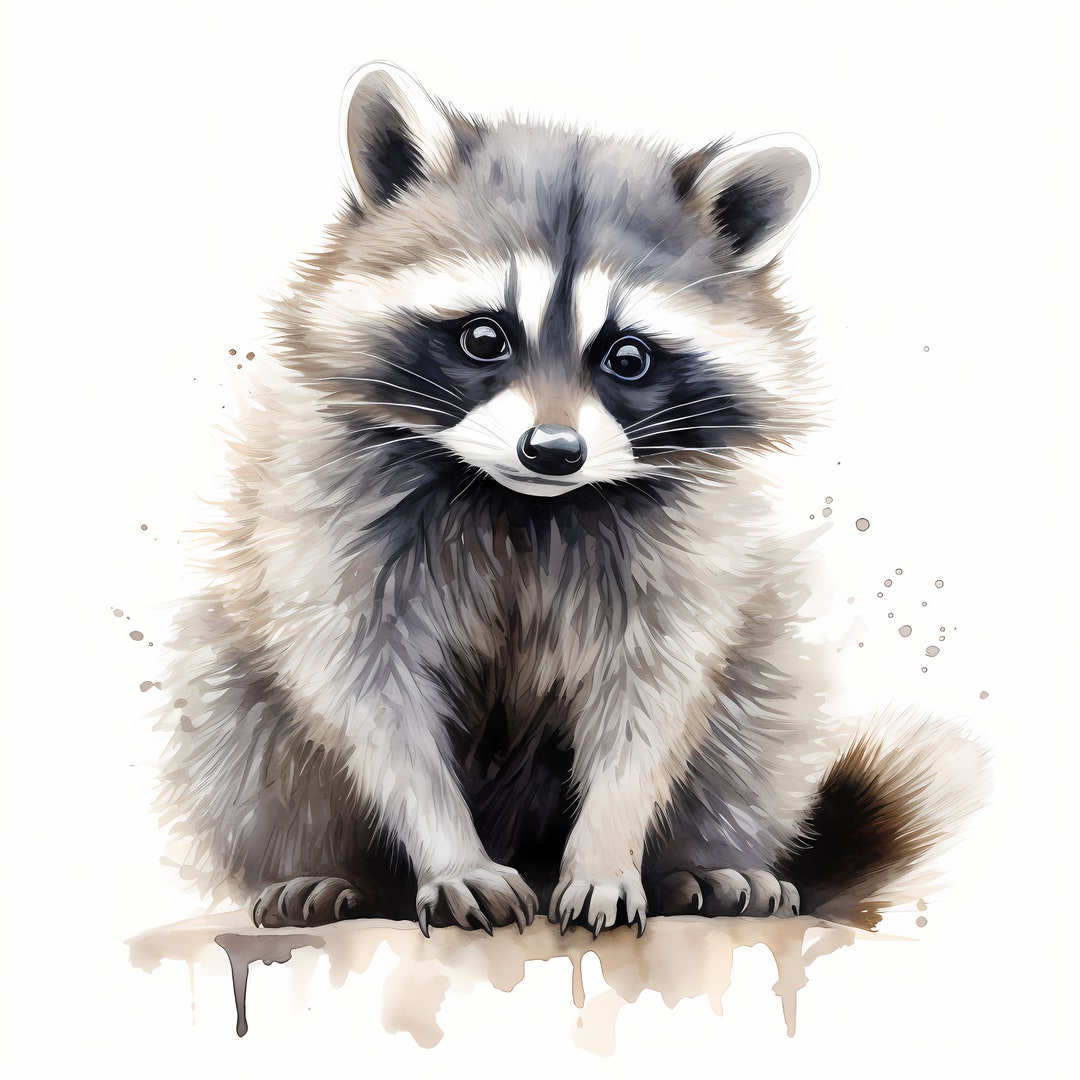 Racoon Clipart, Cute Raccoon Images, 10 Watercolor Clip Art, Printable ...