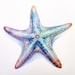 Starfish Clipart, Ocean Sea Life Images, 10 Watercolor Clip Art ...