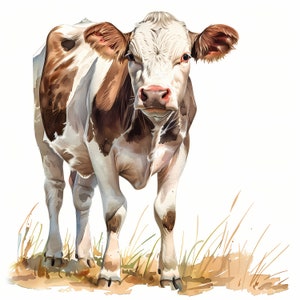 Farm Cow Clipart, Dairy Cows Images, 10 Watercolor Clip Art, Printable ...