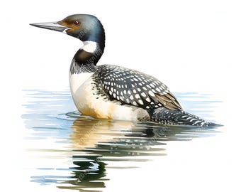 28 Common Loon PNG Clipart Bundle, Watercolor Loon Silhouette Abstract ...